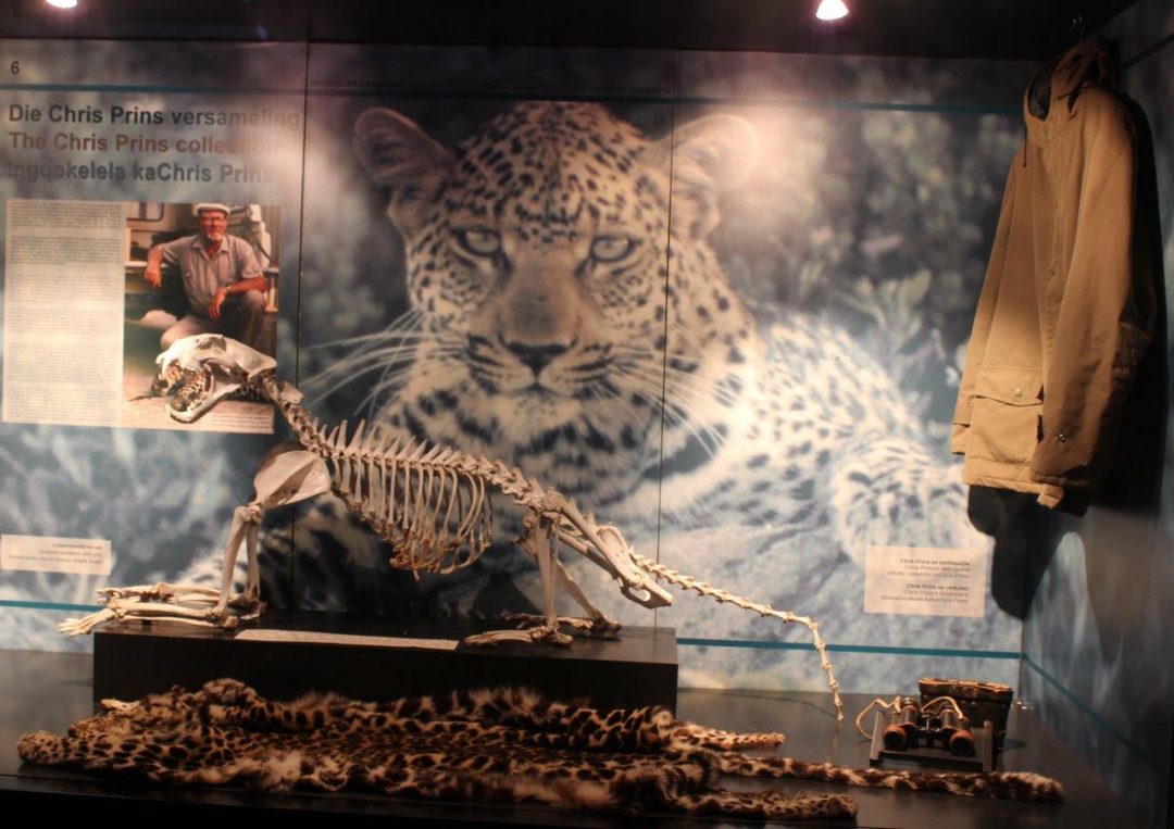 Ceres Museum | Ceres Museum